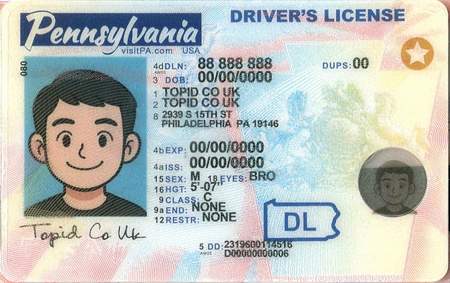 Pennsylvania - Premium Scannable ID | Fast & Secure Delivery | TopID